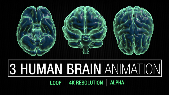 3 Human Brain Clips in 4K, Motion Graphics | VideoHive