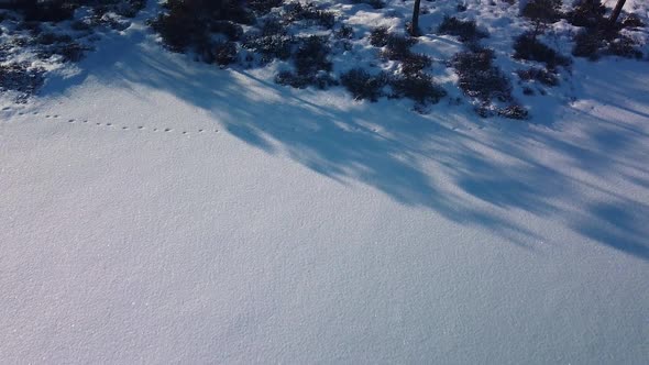 Revealing aerial view of snowy bog landscape with frozen lakes in sunny ...