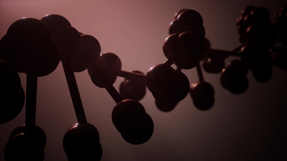 DNA Model Rotate, Motion Graphics | VideoHive