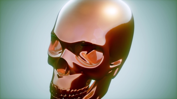 Metall Skull Rotate, Motion Graphics | VideoHive