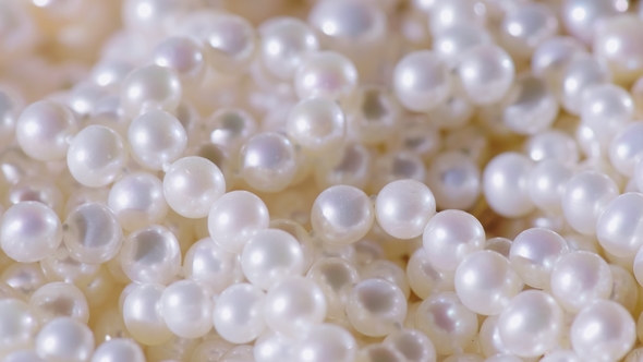Beautiful White Pearl, Stock Footage | VideoHive