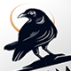 Night Crow Logo Template, Logo Templates | GraphicRiver