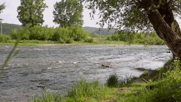 River Water Flowing. Summer Nature Background, Stock Footage | VideoHive