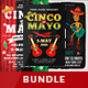 Cinco De Mayo Flyer Bundle, Print Templates | GraphicRiver