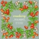 Cranberry Vector Frame by cuttlefish84 | GraphicRiver
