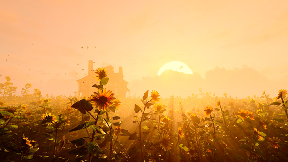 Sunset And The Field Of Sunflowers, Motion Graphics | VideoHive