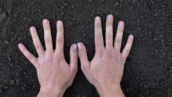 Male Hand Touching the Ground, Checking Quality,, Stock Footage | VideoHive