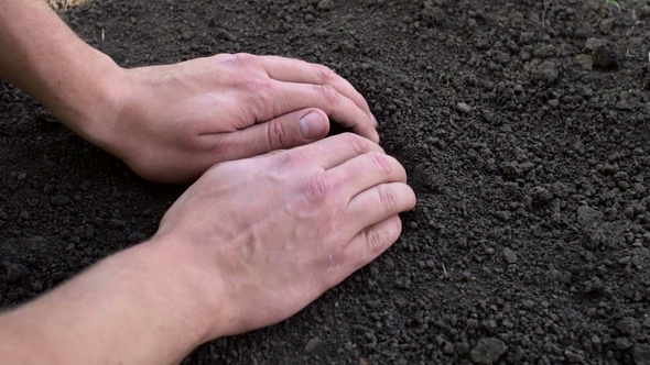 Male Hand Touching the Ground Checking its Quality, Stock Footage ...