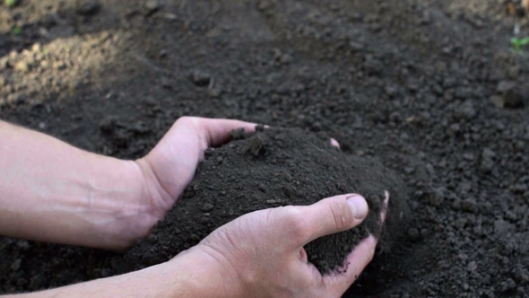 Male Hand Touching the Ground Checking its Quality, Stock Footage ...