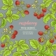 Raspberry Vector Frame by cuttlefish84 | GraphicRiver