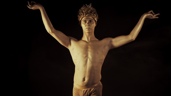 Portrait of Handsome Young Ballet Dancer with Shining Golden Skin and ...