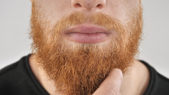 A Man with a Red Beard, Scratching His Beard, Stock Footage | VideoHive