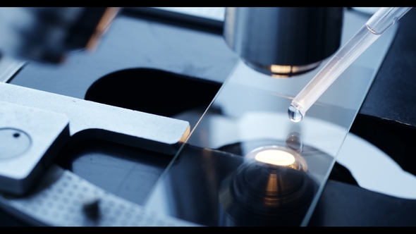 Examining of Test Sample Under the Microscope in Laboratory, Stock Footage