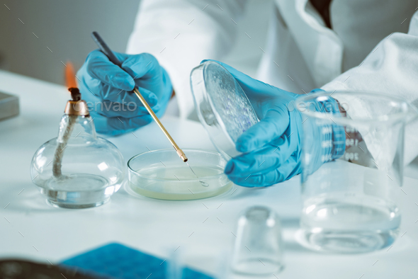 Microbiology laboratory work Stock Photo by microgen | PhotoDune