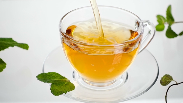 Mint Tea with Leaves Directly Above, White Background, Stock Footage