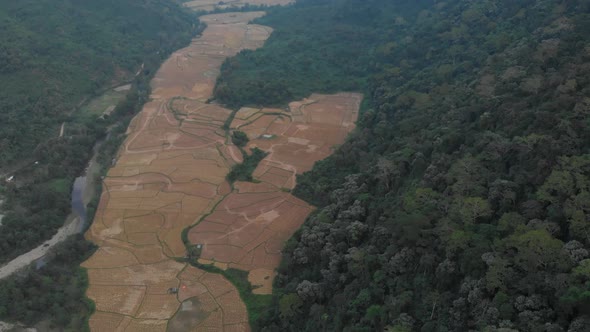 Aerial: flying over rice paddies unique valley scenic cliffs rock ...