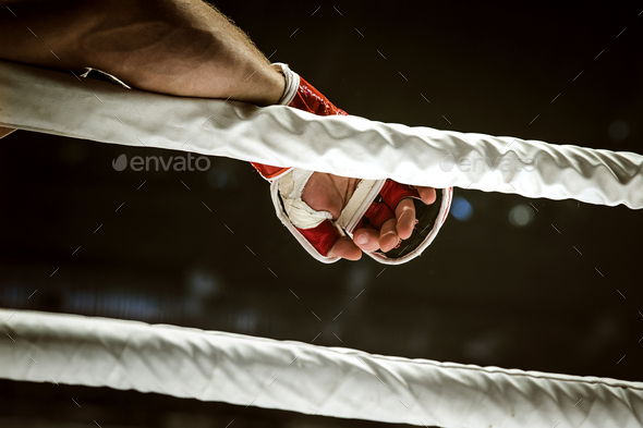 MMA fighter hand in glove Stock Photo by realsportsphotos | PhotoDune
