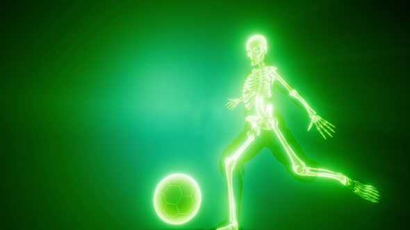 Soccer Game Player, Motion Graphics | VideoHive