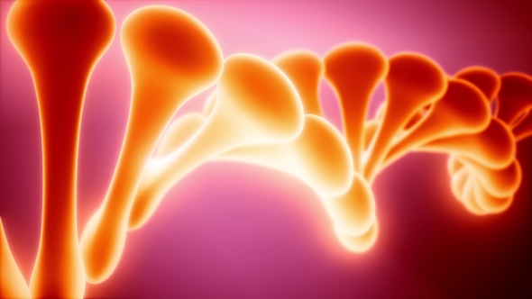 DNA Model Rotate, Motion Graphics | VideoHive