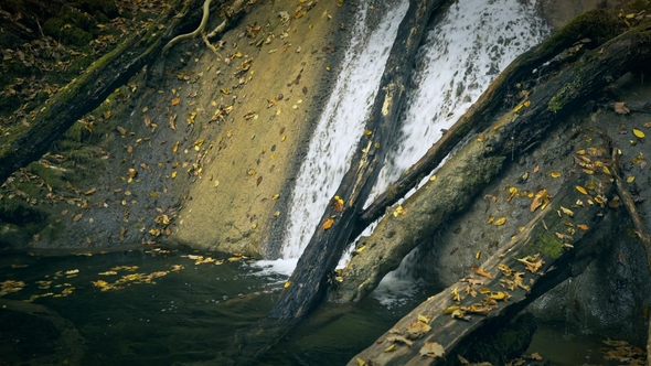 Water Flowing Over a Tree Trunk, Stock Footage | VideoHive
