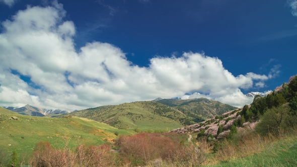 Spanish Spring Mountains with Flowering Trees and Beautiful Clouds in ...