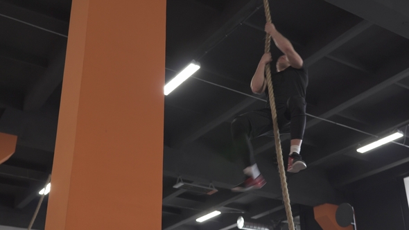 Fitness Man Doing Rope Climb Exercise in Gym, Stock Footage | VideoHive
