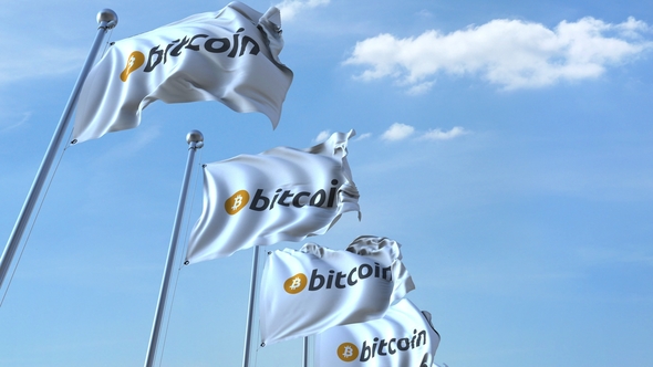 Waving Flags with Bitcoin Logo Against the Sky, Motion Graphics | VideoHive