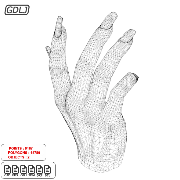 Hand with Full Textures by LaythJawad | 3DOcean