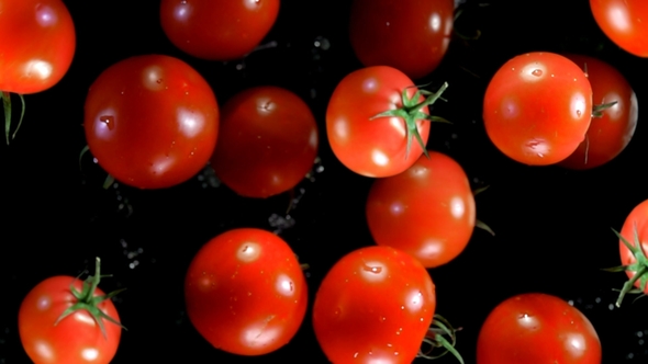 Tomatoes Bouncing Against To the Camera, Stock Footage | VideoHive
