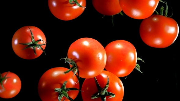 Tomatoes Bouncing Against To the Camera, Stock Footage | VideoHive