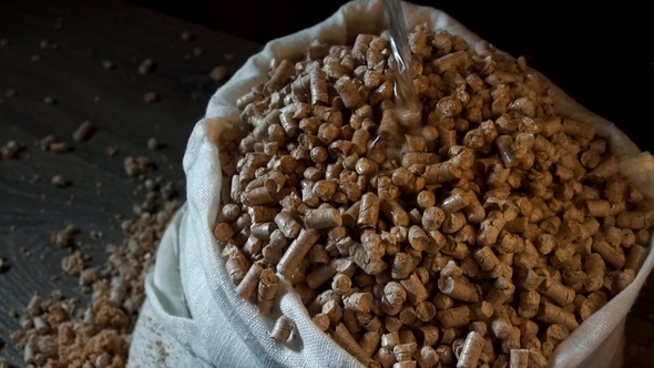 Pellets Absorb Water, Hygiene, Stock Footage | VideoHive