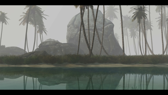 Morning Fog and Tropical Island with Palms, Motion Graphics | VideoHive