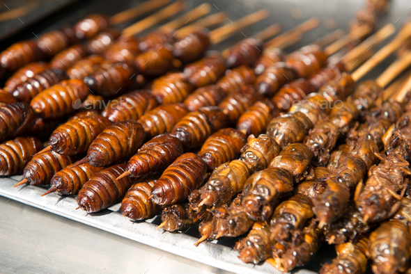 Grill and fried silkworm pupae on stick Stock Photo by kenishirotie