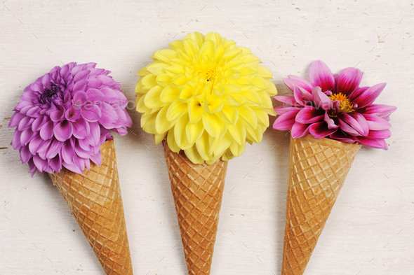 ice cream cones with beautiful flowers Stock Photo by annakhomulo ...