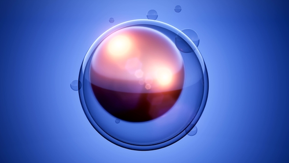 Rotate Cell Division, Motion Graphics | VideoHive