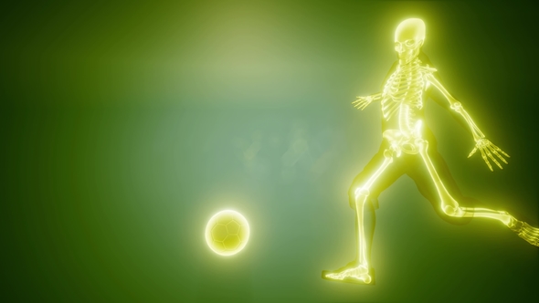 Soccer Game Player, Motion Graphics | VideoHive