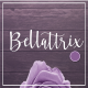 Bellattrix - A Modern Script Font, Fonts | GraphicRiver