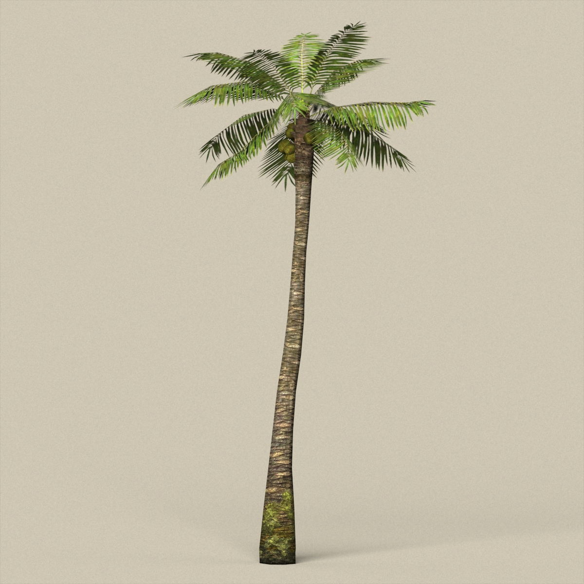 Game Ready Palm Tree Pack by plantworld3d | 3DOcean