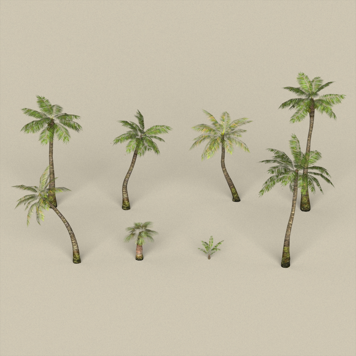 Game Ready Palm Tree Pack by plantworld3d | 3DOcean