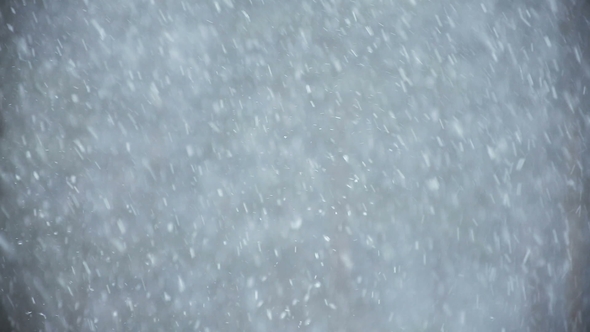 Background of Snow Fall Blowing Fast in Winter Blizzard, Stock Footage