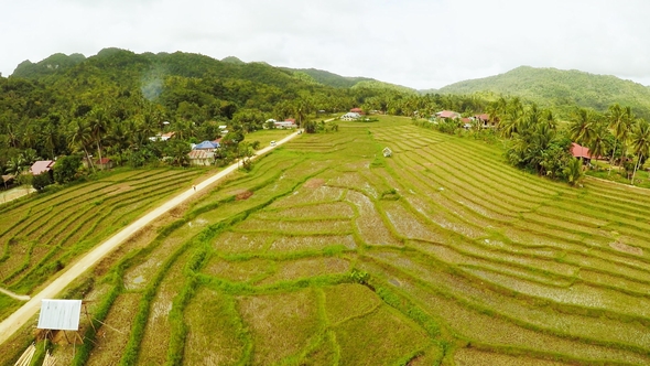 Terraced Rice Field in Bohol Island. Philippines. Beautiful Nature ...