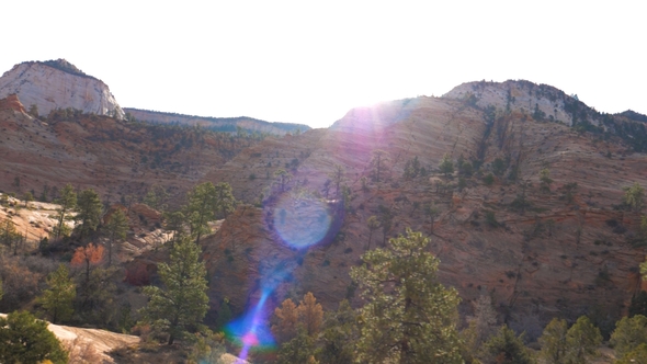 In Movement A View From The Car The Canyon Rocks And Trees, Stock Footage