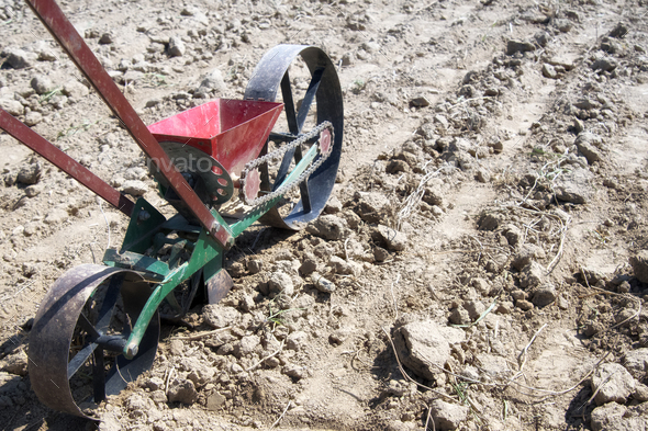 sowing Stock Photo by perutskyy | PhotoDune
