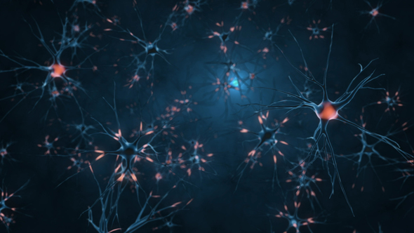 Neurons 4K, Motion Graphics | VideoHive