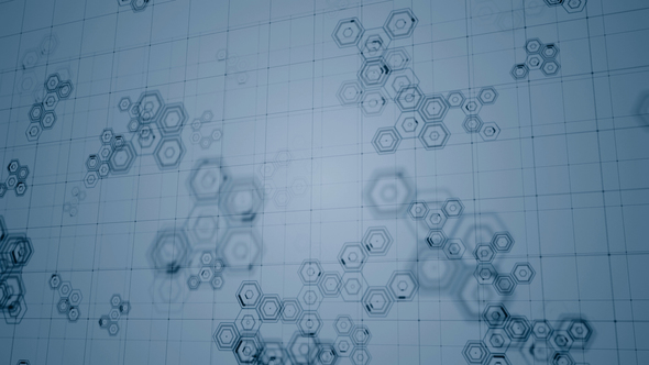 Hive Network, Motion Graphics | VideoHive