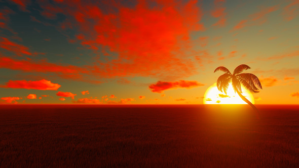 Safari, Motion Graphics | VideoHive