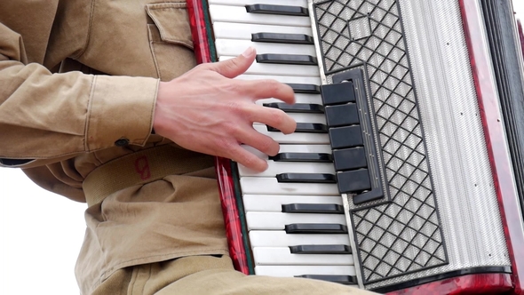 Musician Playing the Accordion. Hand Playing Accordions . Accordion ...
