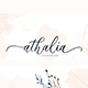 Athalia - Modern Calligraphy Script, Fonts | GraphicRiver
