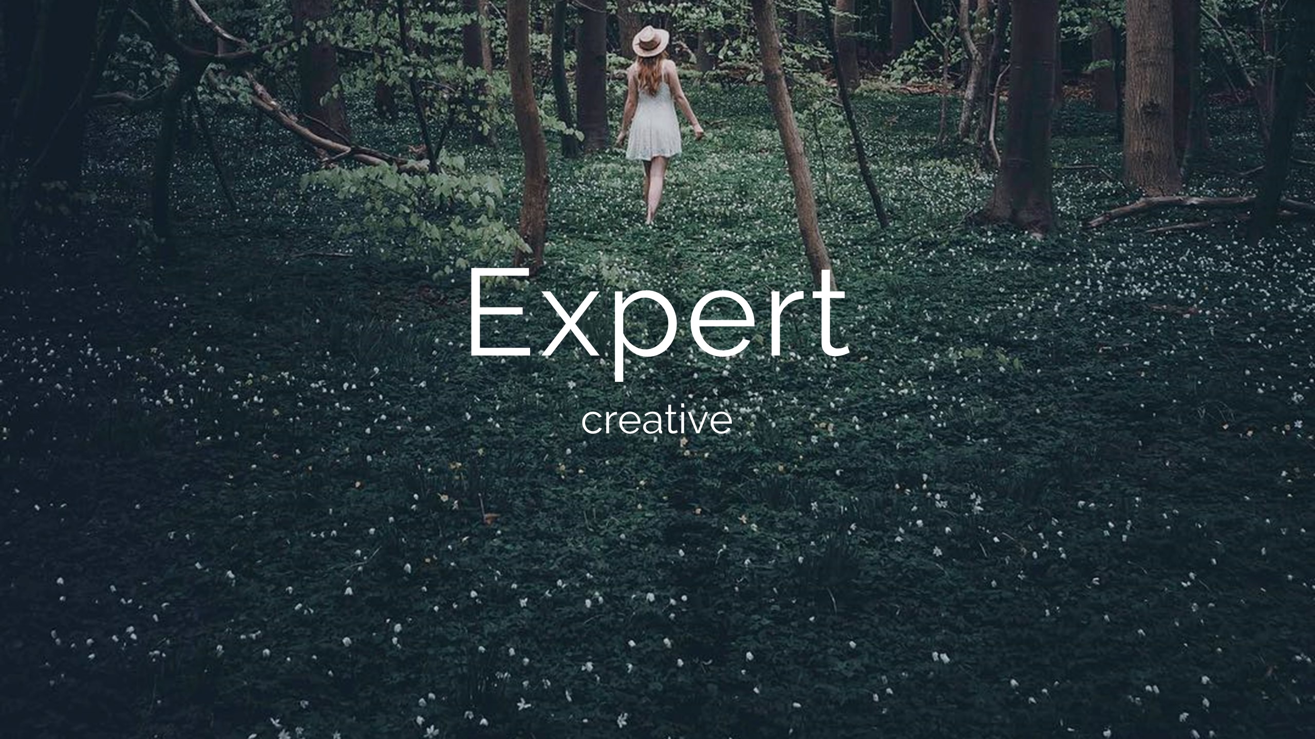 Expert Creative Design Powerpoint Template, Presentation Templates