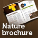 Nature brochure, Print Templates | GraphicRiver